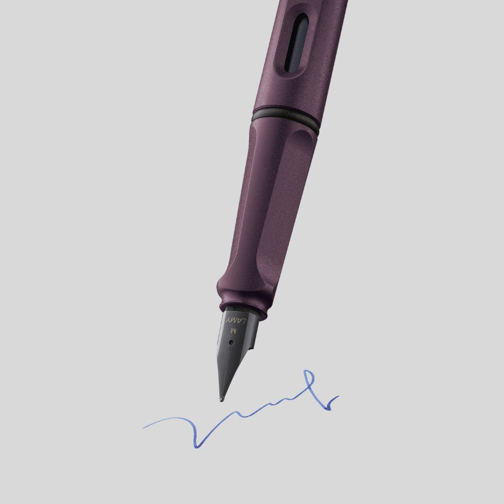 Fountain Pens – missing-pen.com