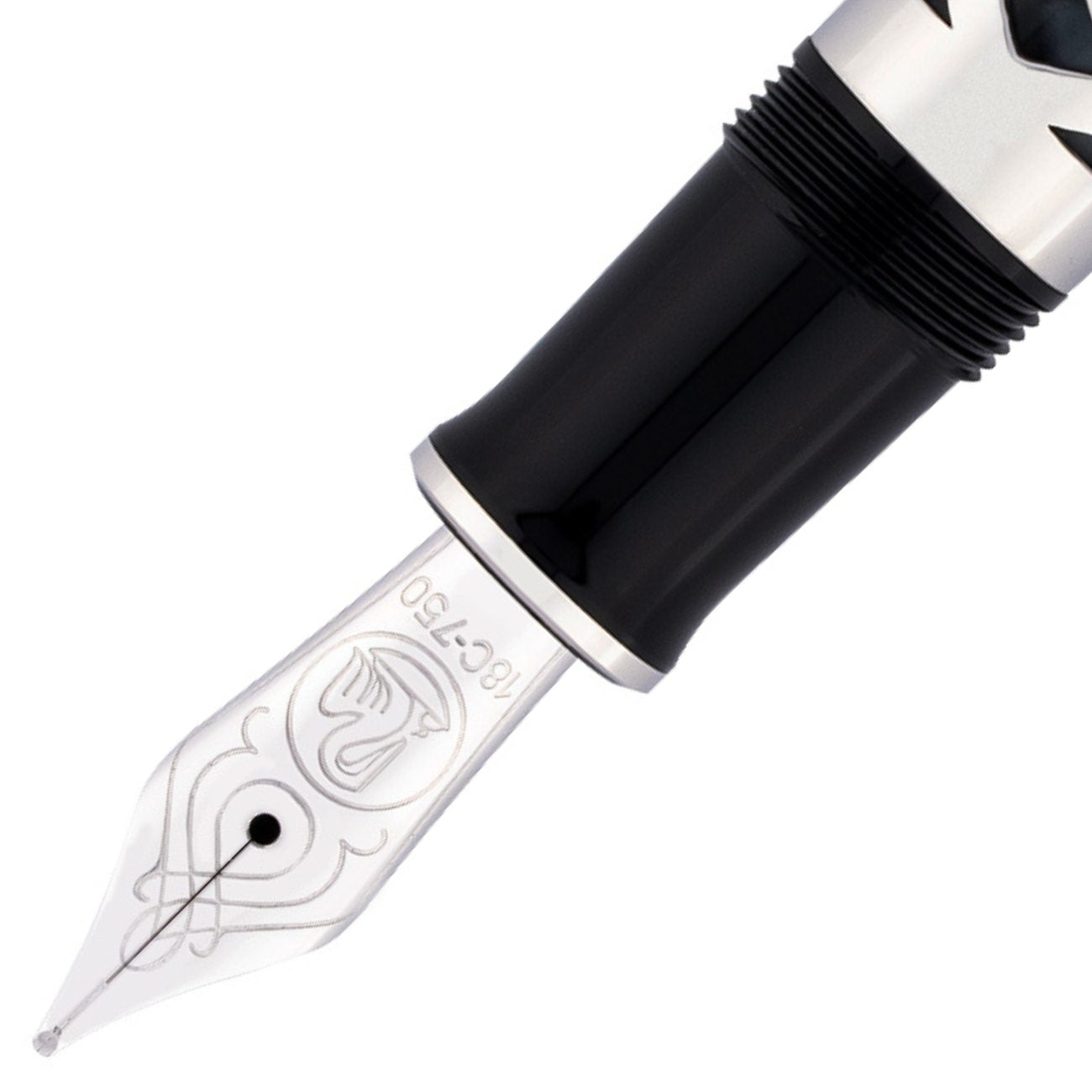 Pelikan Souverän® M805 Metal Sleeve Fountain Pen - Special Edition 202 ...